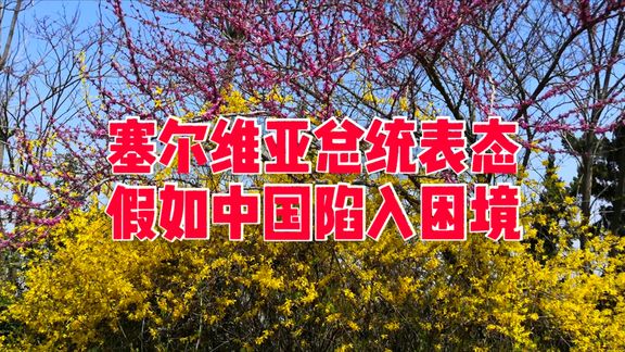 假如中国陷入困境,塞尔维亚将如何帮助我们?网友:帮塞铁,值了