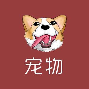 宠物知识讲解员（它博会直播版） 