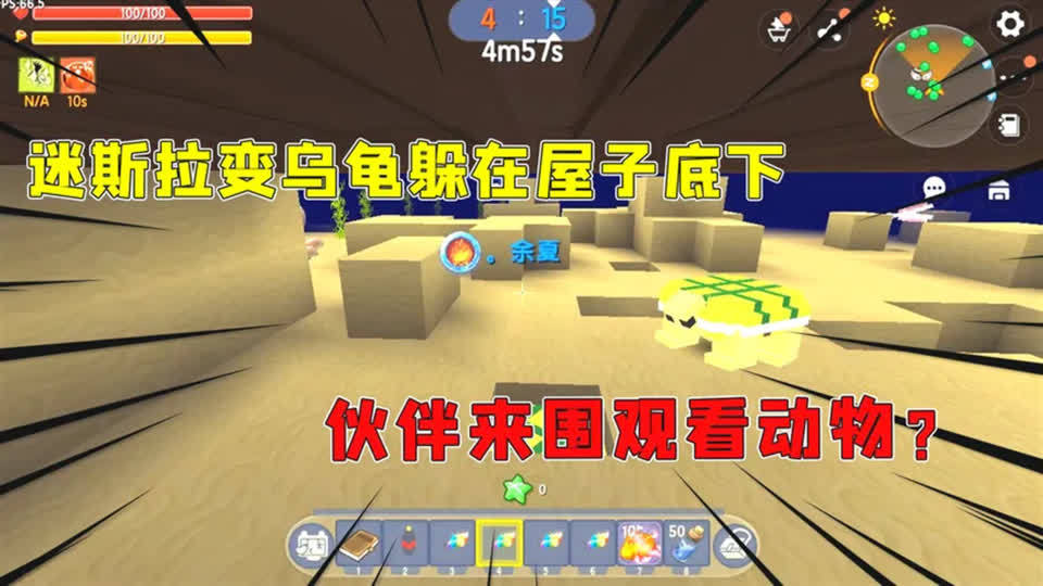 迷你世界:迷斯拉变乌龟躲屋子底下,被兔美美无情嘲讽