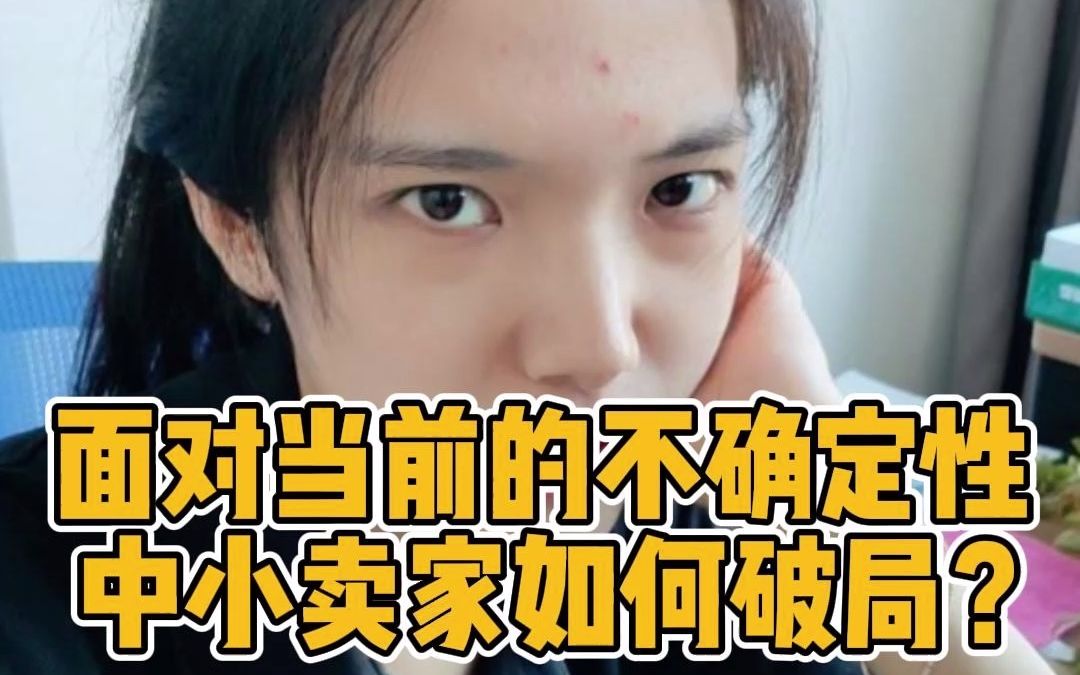 面对当前的不确定性,中小卖家如何破局?