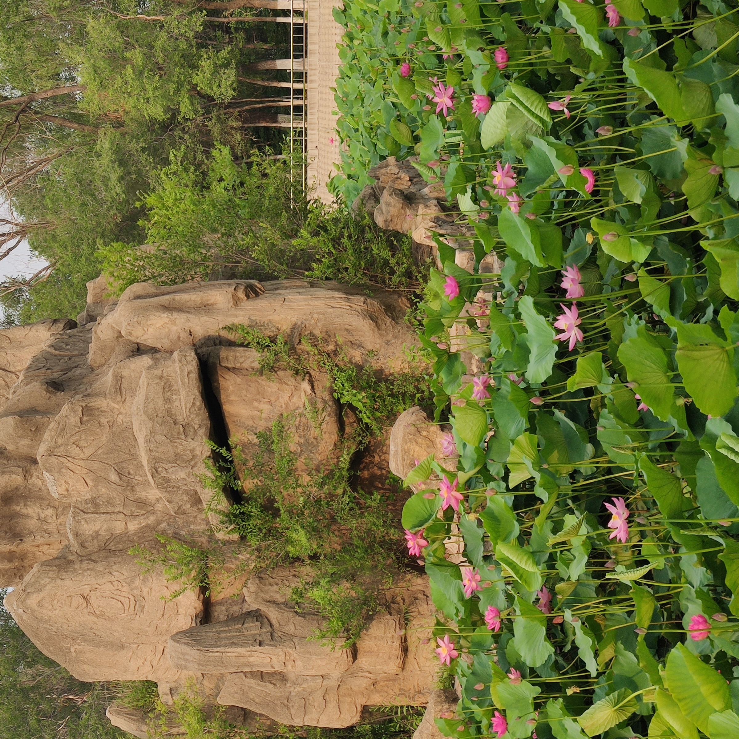 章先生小学数学 