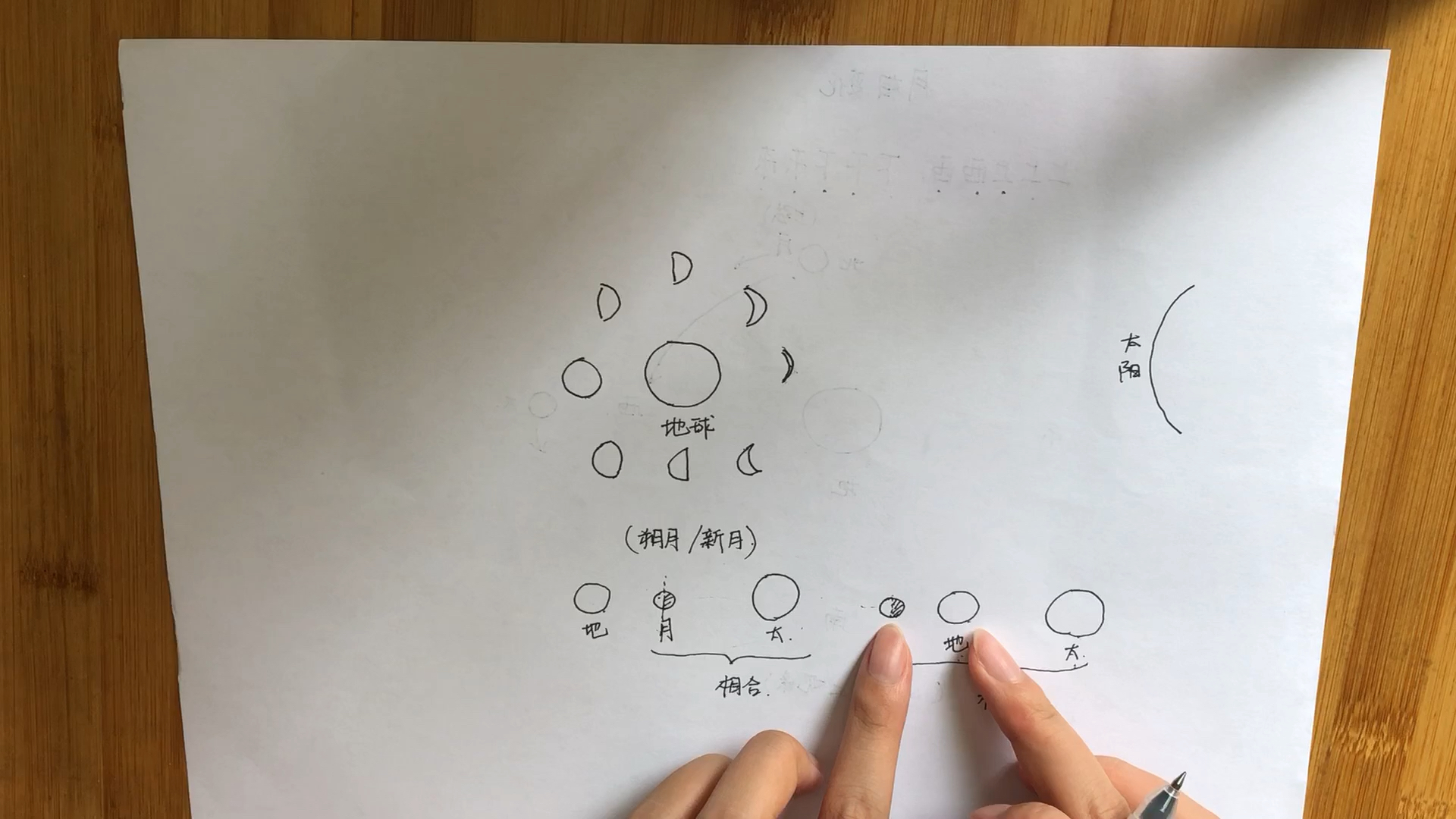 【知识点2】月相变化