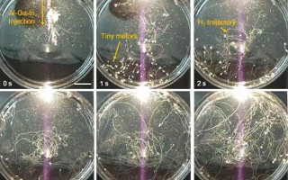 贝叶斯-布朗运动本质:系统遍历性=随机过程·量!