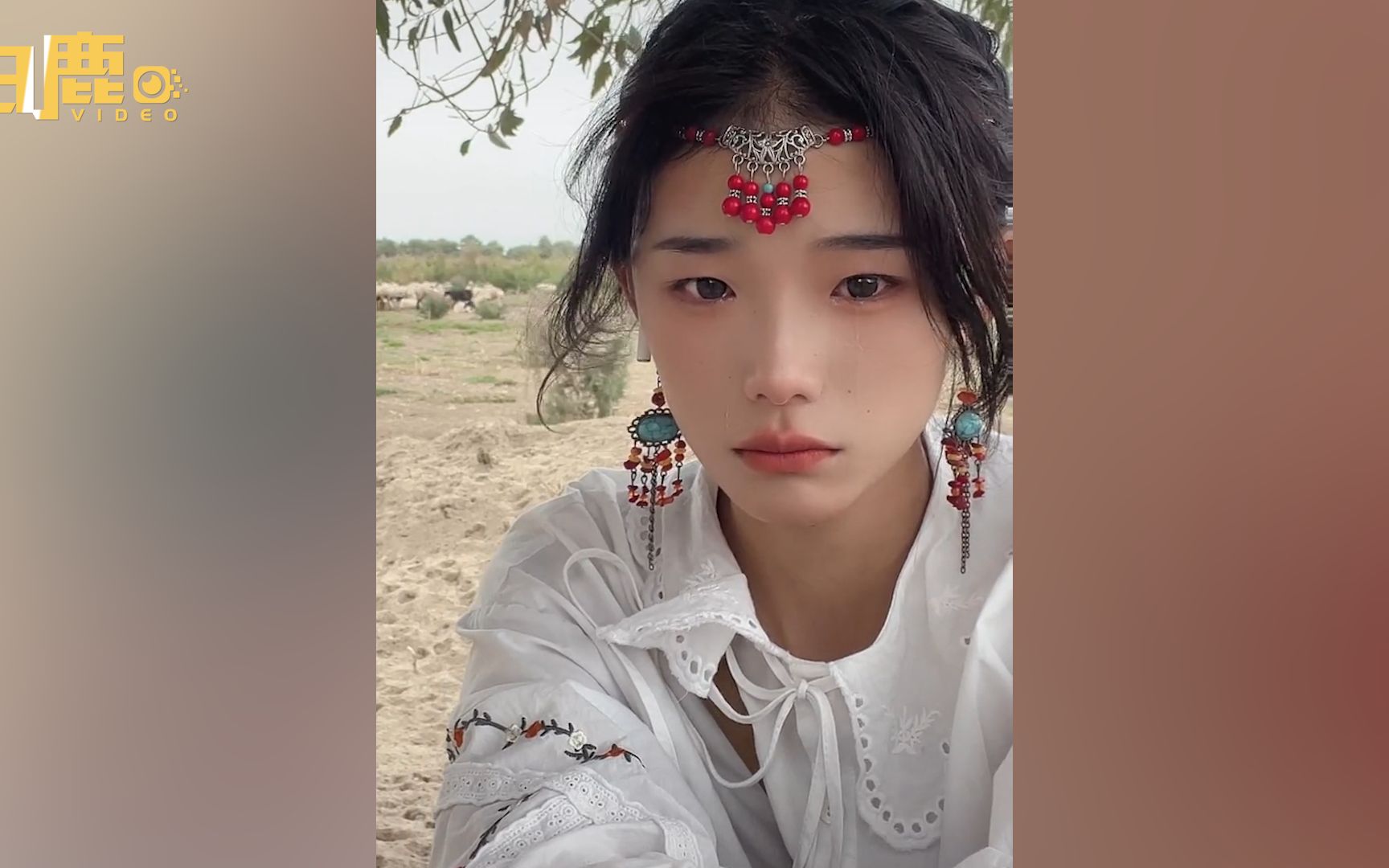 灰太狼的羊被多方抢注商标,多方抢注灰太狼的羊商标
