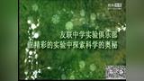 新课改 高中化学 苯酚与氢氧化钠的反应 友联科教