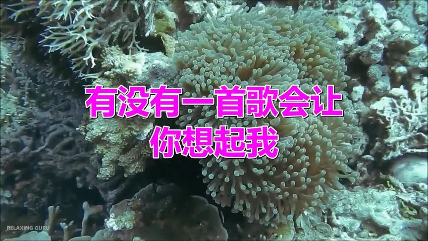 《有没有一首歌会让你想起我》《情歌好听却难唱》《坐上火车去拉