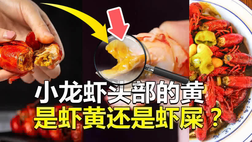 小龙虾头部的“黄”,是虾黄还是虾屎?吃了这么多年终于明白了