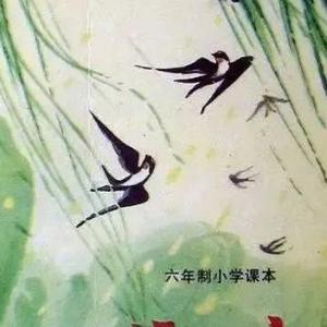 饮一壶清酒醉把心漂流 