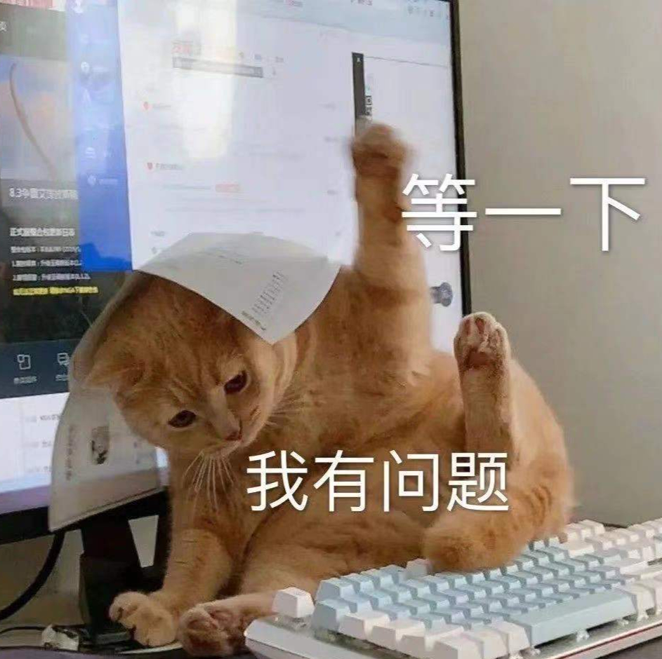 老黄橘猫啊 