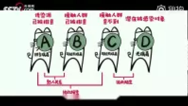 【 这个小动画告诉你】新型冠状病毒肺炎潜伏期最长约为14天,那么这...