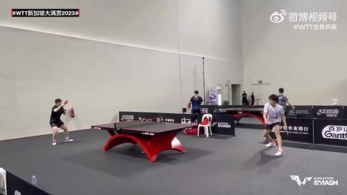 .樊振东王楚钦赛前热身 WTT新加坡.