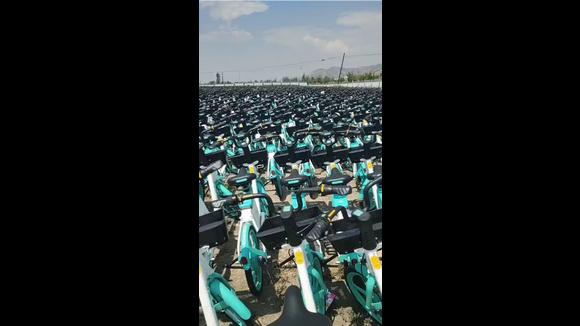 猜猜这是多少辆青桔自行车