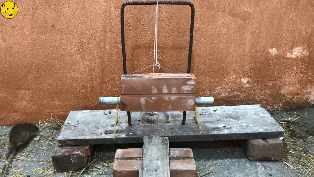 2019年最佳捕鼠器-用红砖轻松自制捕鼠器