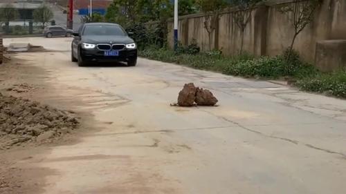 这么大的工程不用招投标吗?