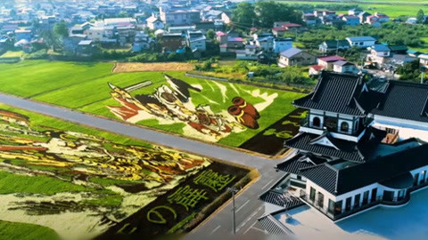 日本村庄在田地里用水稻作画,游客人数狂涨10万倍