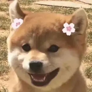 会计资料储存站 