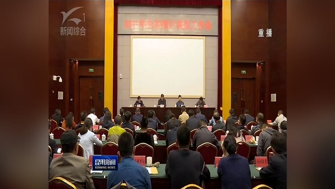 2021年全市统计调查工作会议召开