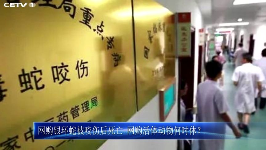 网购银环蛇被咬致死 网购活体动物何时休?