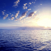 暧昧成瘾孤独成性 