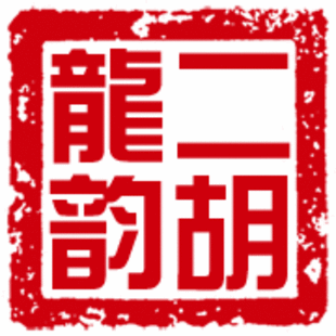 龙韵二胡品牌官网 