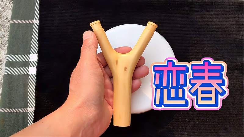 小叶黄杨随形树杈弹弓,大弓门,传统估打设计,手工制作