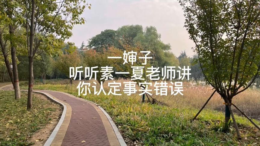 锤一婶子 你认定事实错误 听素一夏老师讲