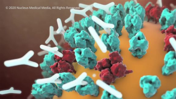 看看感染新冠肺炎后身体会怎么样?