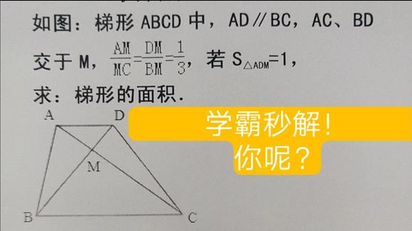 小升初数学模拟试题八「图形面积」