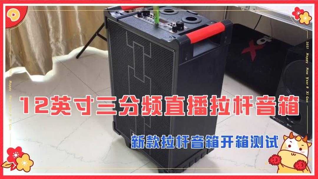 尝鲜测试最新款12英寸三分频拉杆音箱,支持网络直播,带声卡音效
