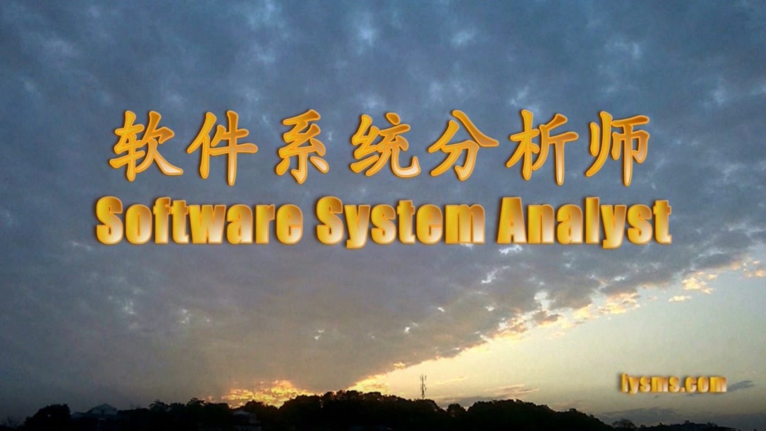 软件系统分析师贤斌