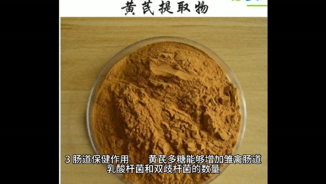 兽用黄芪多糖的作用,兽用黄芪多糖为何能提高鸡鸭鹅免疫力?