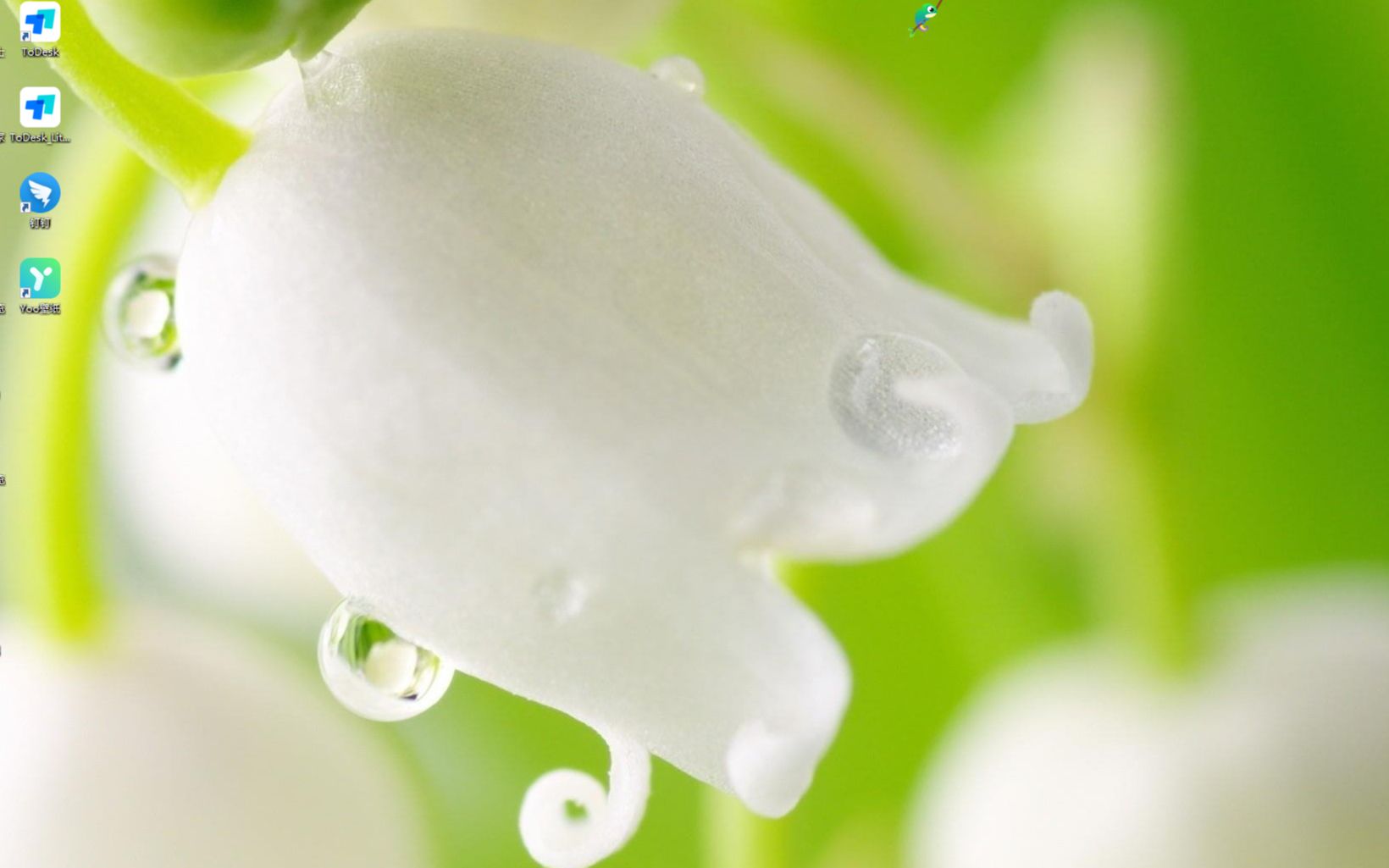 教大家把钉钉直播回放视频如何强制下载