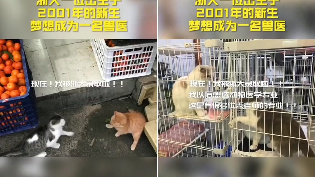 萌!出生于2001年的她刚收到浙大录取通知书,进入大类后想选动物医学...