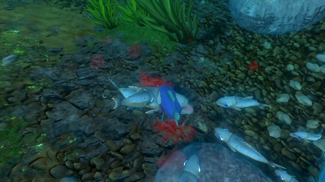 海底大猎杀惨遭鲨鱼围捕了游戏16期