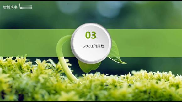 SQL从入门到精通,跟陈贻品老师学通透(061)oracle类型转化函数