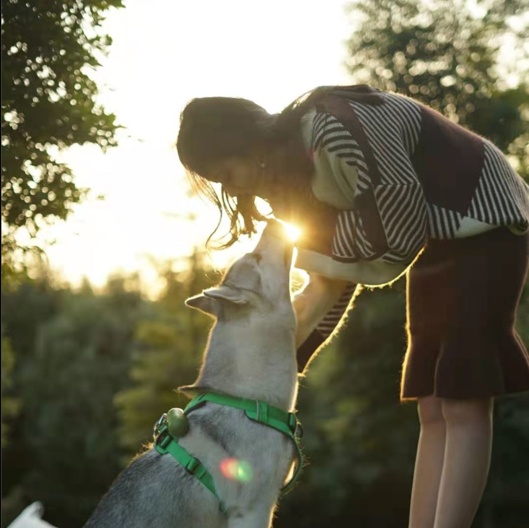 木犬说 