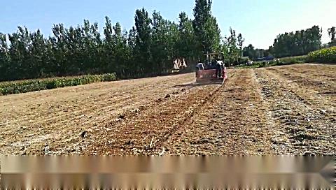 河北三头牛机械科技有限公司水稻田播种小麦