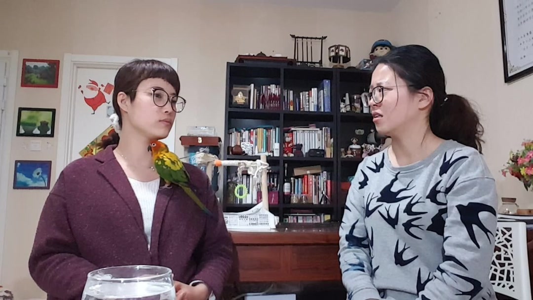 《案例分析》 05期|临近高考,家庭矛盾爆发了!