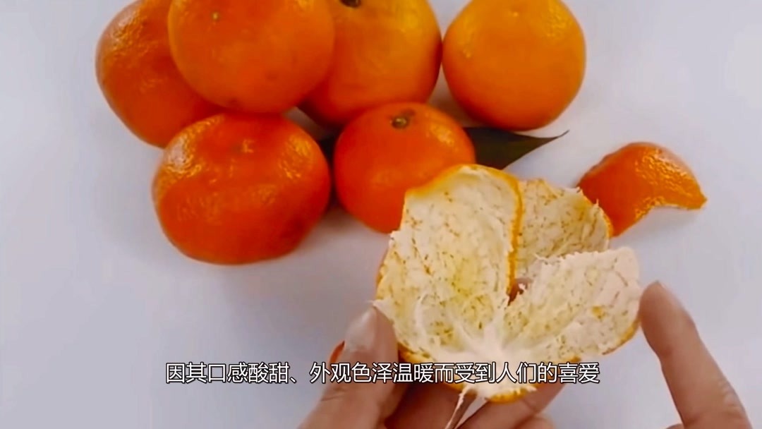 橘皮加它泡水,男女经常喝点,补气益气功效好