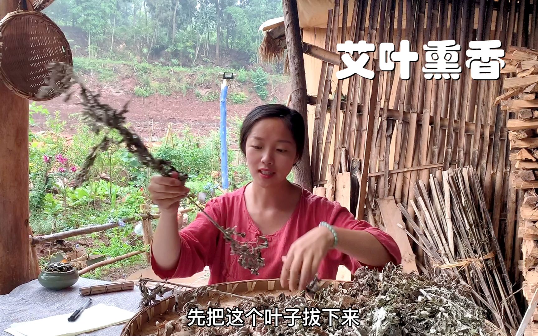 艾叶全身都是宝,农村姑娘教你艾叶做成艾条,方法简单一看就懂