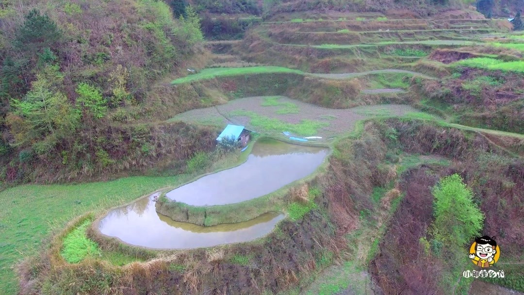 航拍大山里一户人家,房子破旧成这样实在令人琢磨不透,你怎么看
