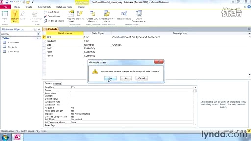 ACCESS基础的教程02-5