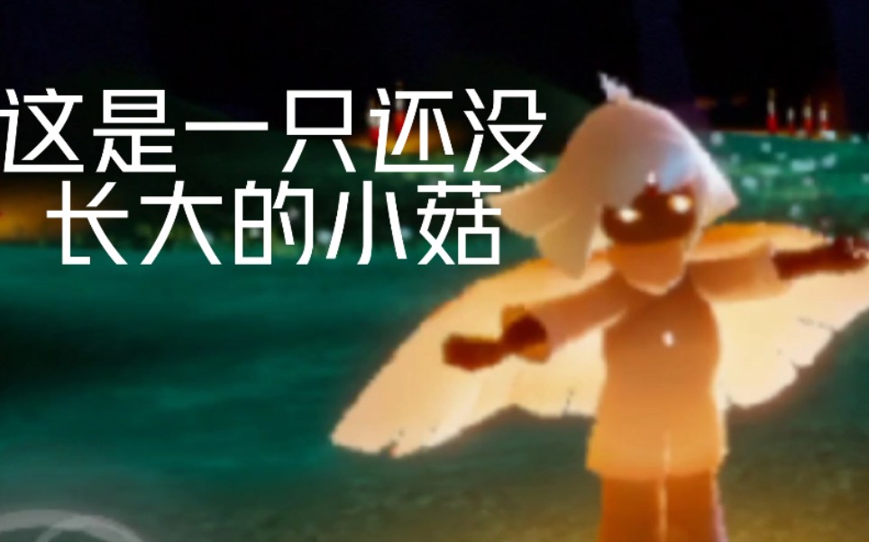 ꒰ঌ呆菇生长过程໒꒱