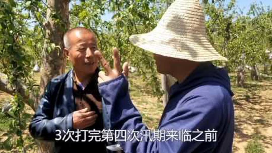 果树冻害之后怎么办?