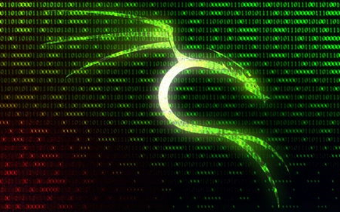 【白嫖】室友用29800买的Kali Linux渗透测试实战级教程!(400集持续...