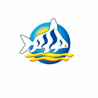 优酷用户1648545333870733 