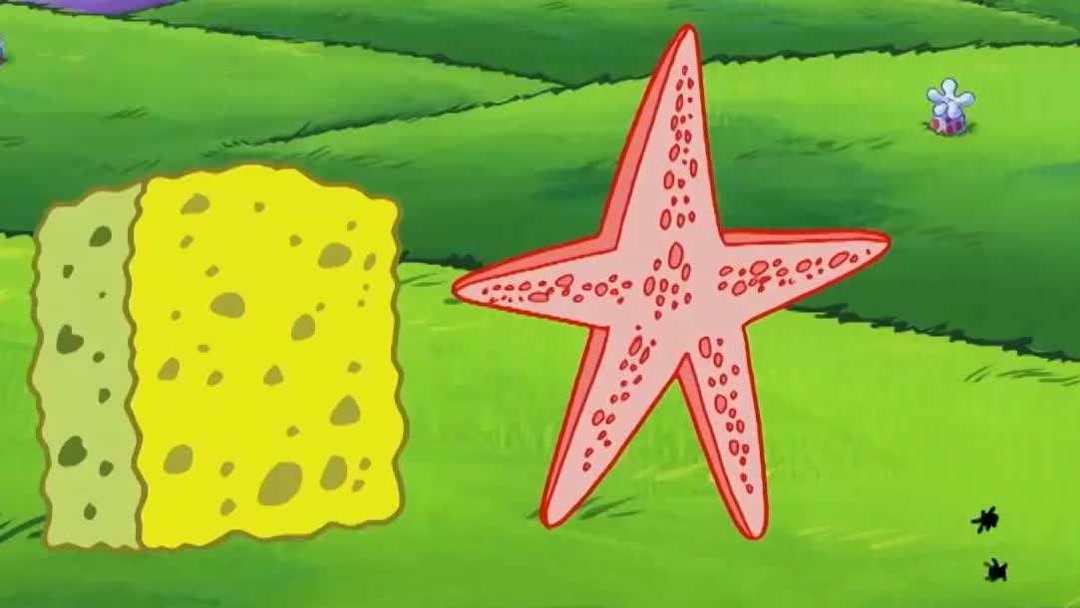 海绵宝宝:海绵宝宝派大星的原型