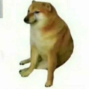 54一只路过的修勾 