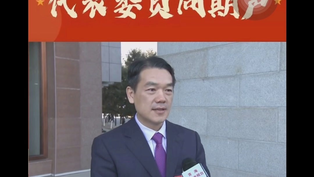 2022代表委员同期声