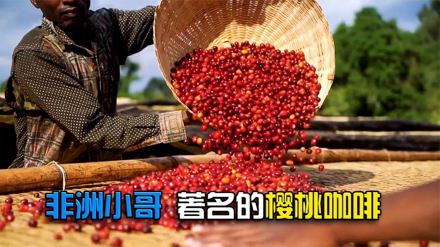 非洲小哥传统的咖啡豆制作 惊人的手工艺